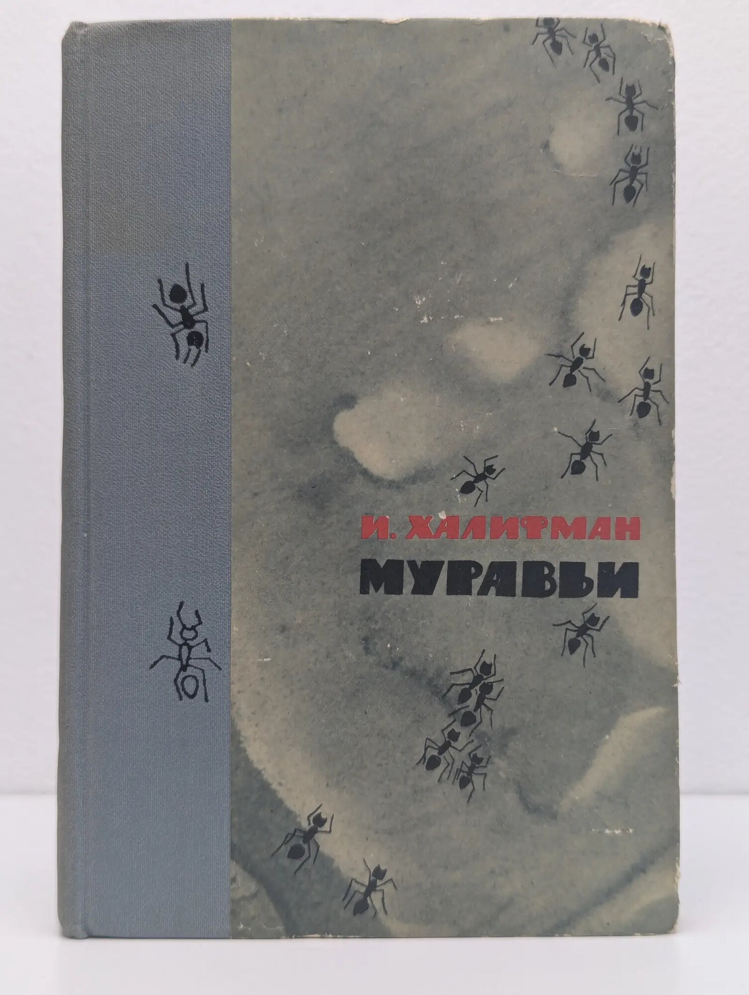 Муравьи Халифман Иосиф Аронович 1963