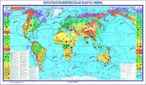 Зоогеографическая карта мира (114х191см, лам.)