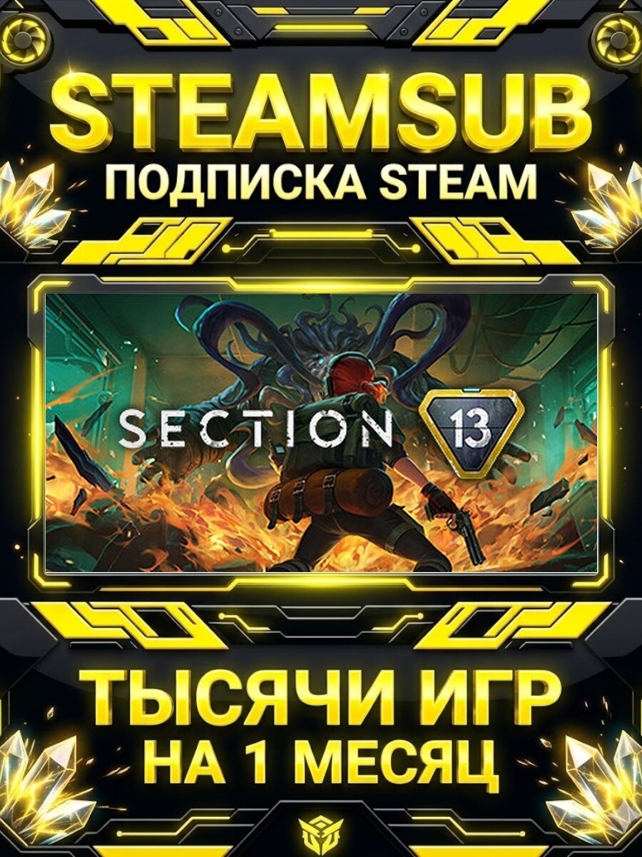 Section 13 — подписка Steam на месяц, 7000+ игр на аккаунтах для ПК (РФ + СНГ)