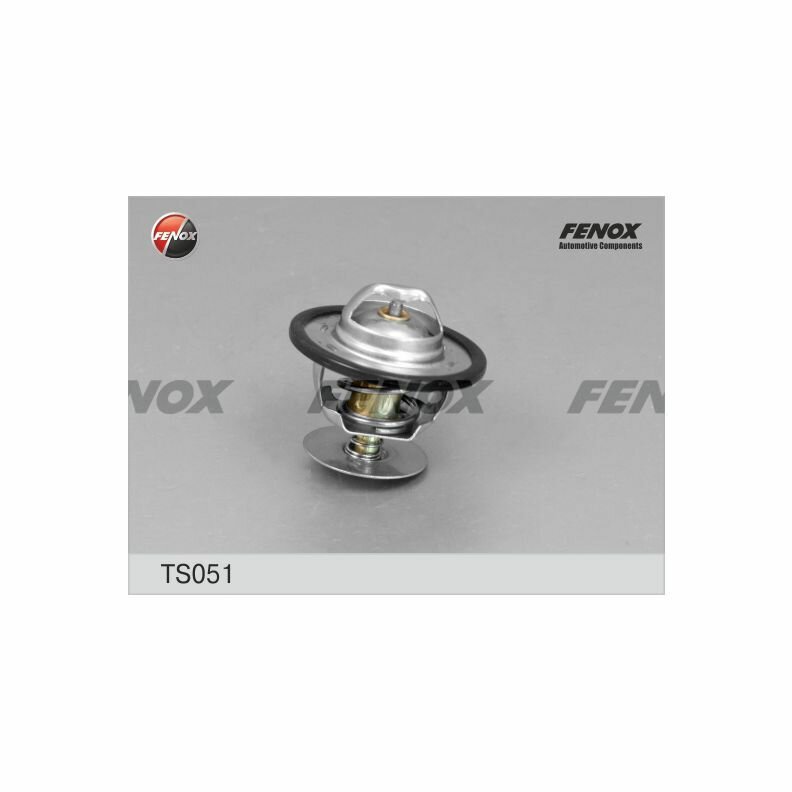Термостат Ford Focus 98-04, Mondeo 93-00, Escort 92-00, FENOX TS051