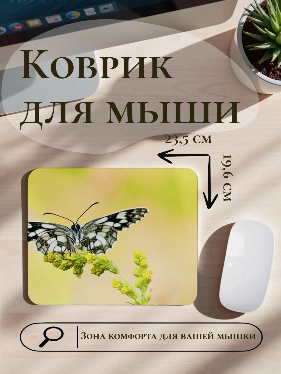 Коврик для мыши бабочка пестроглазка галатея