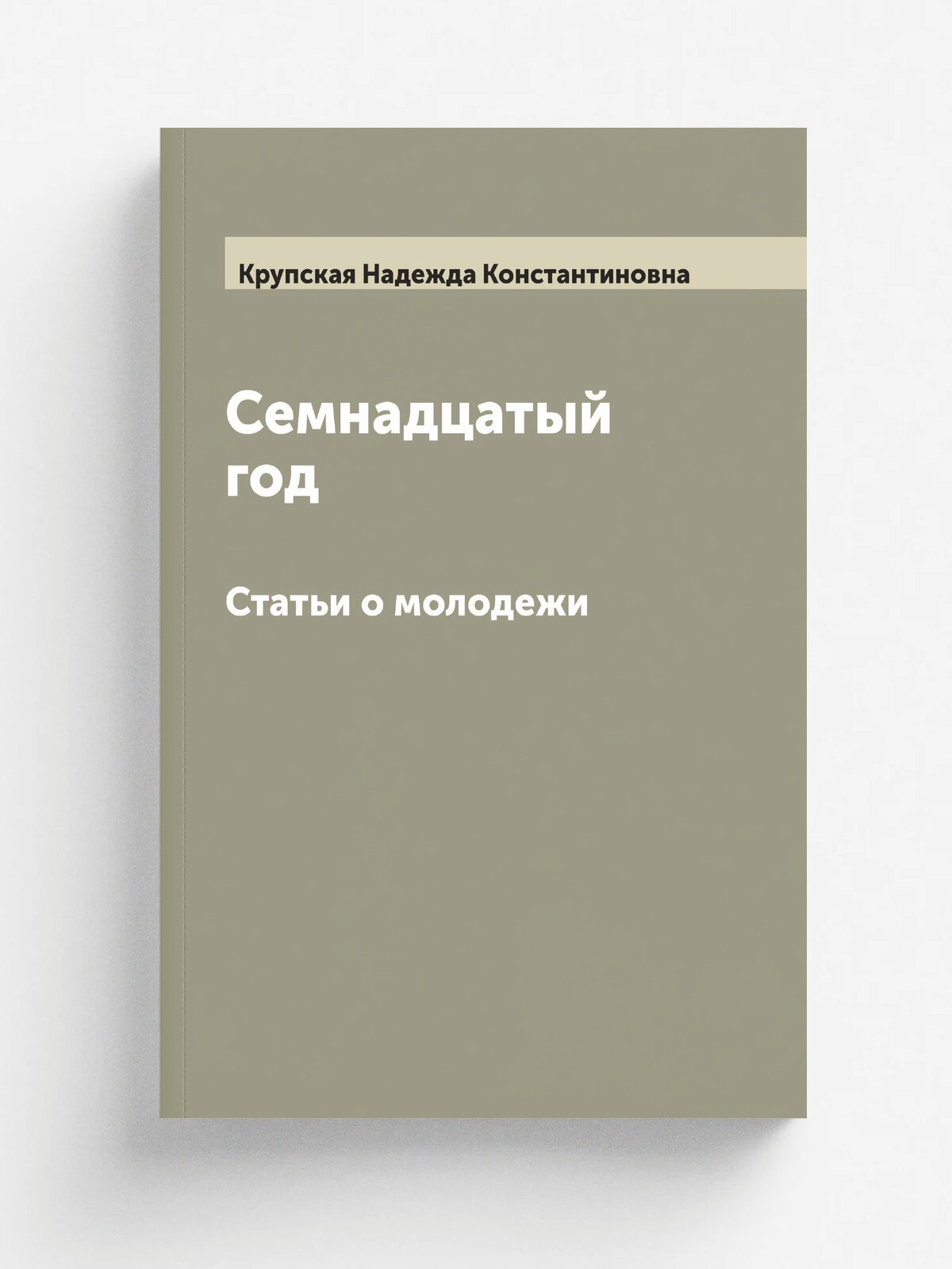 Семнадцатый год. Статьи о молодежи