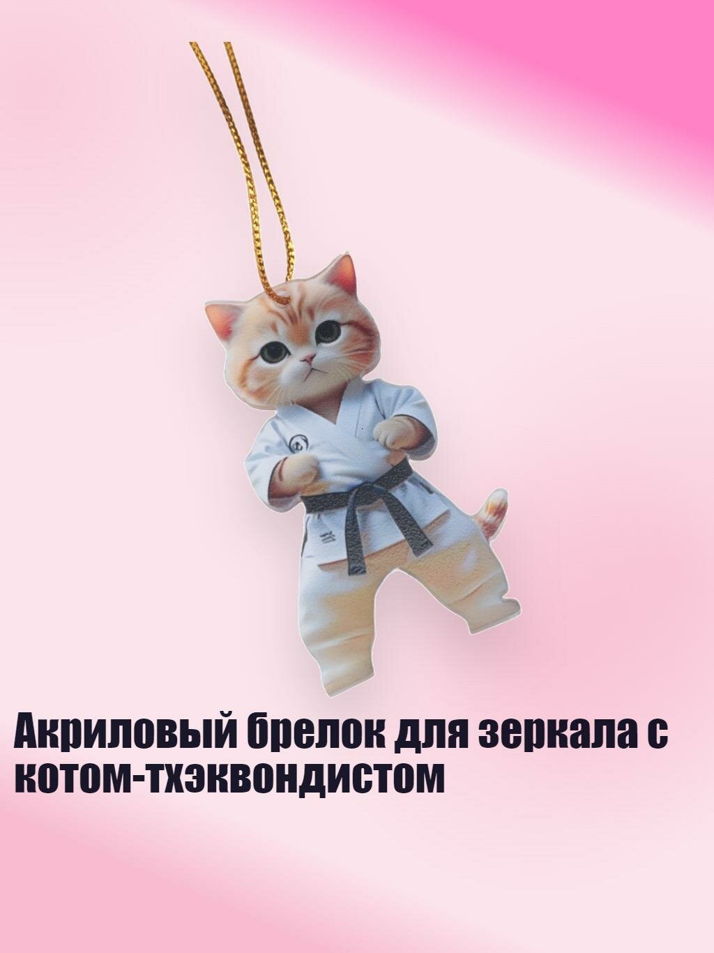 Акриловый брелок для зеркала с котом-тхэквондистом, Стиль3