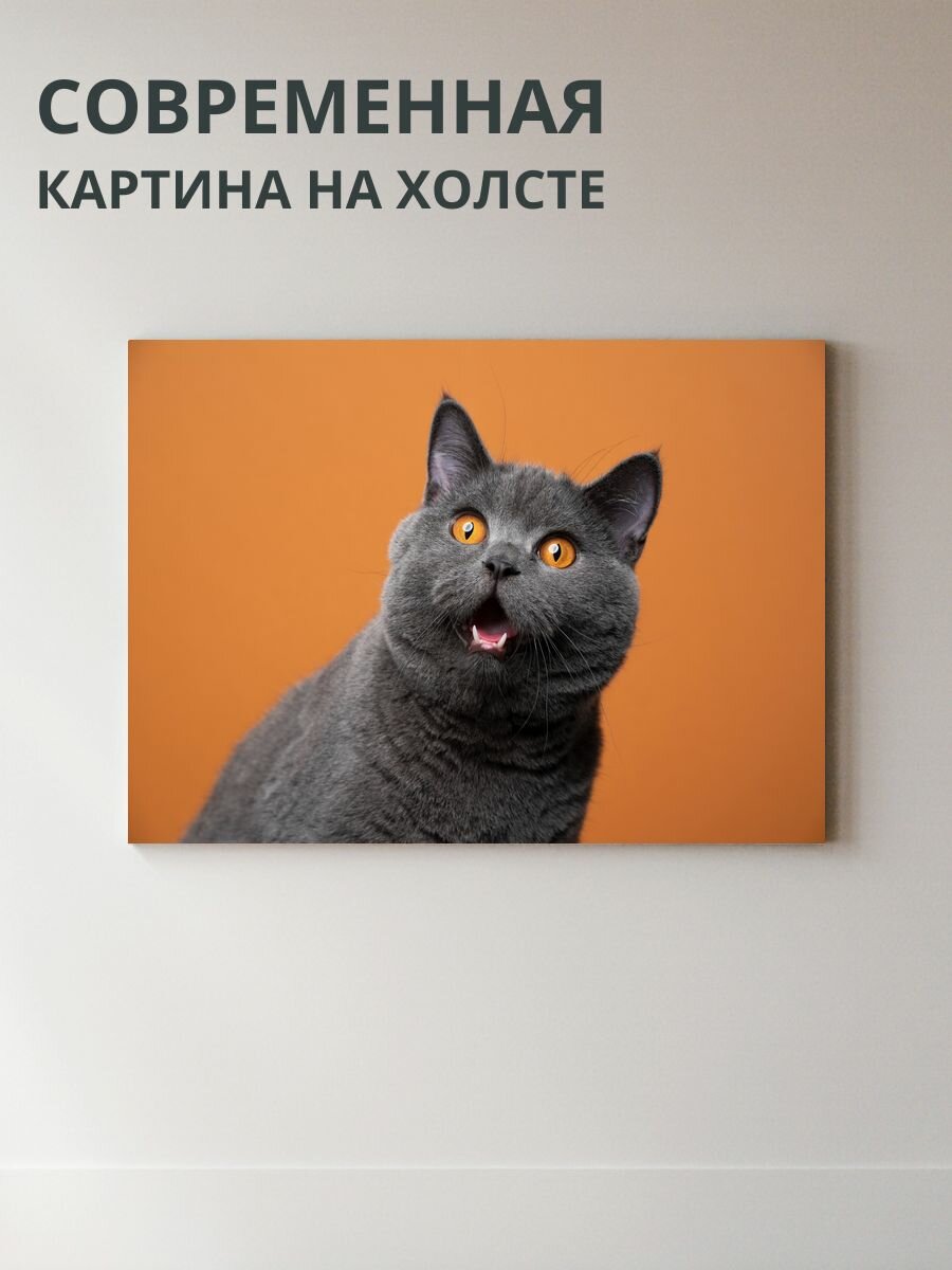 Картина на холсте Кот британской короткошерстной породы 70x50 см