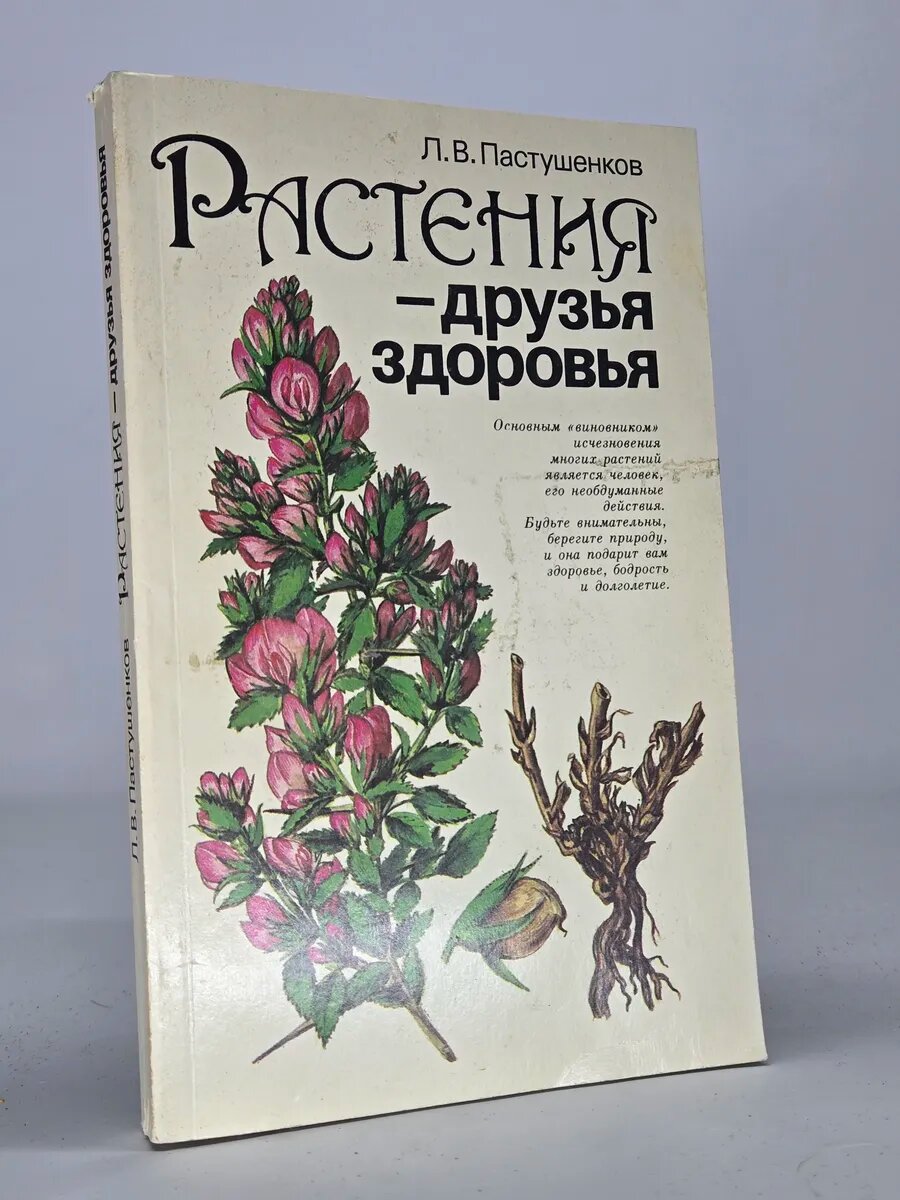 Растения – друзья здоровья