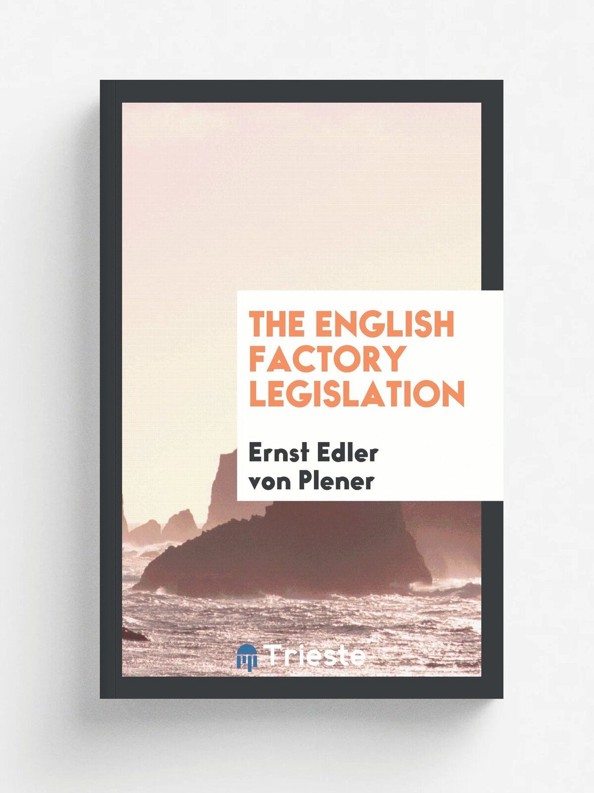 The English factory legislation