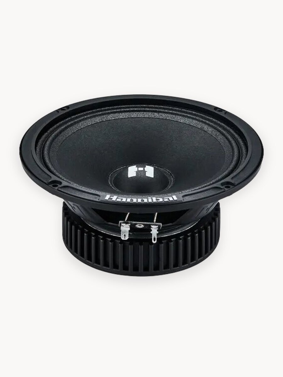 Колонки автомобильные Deaf Bonce Hannibal HM-8E PRO динамики Alphard 20 см (8 дюймов)