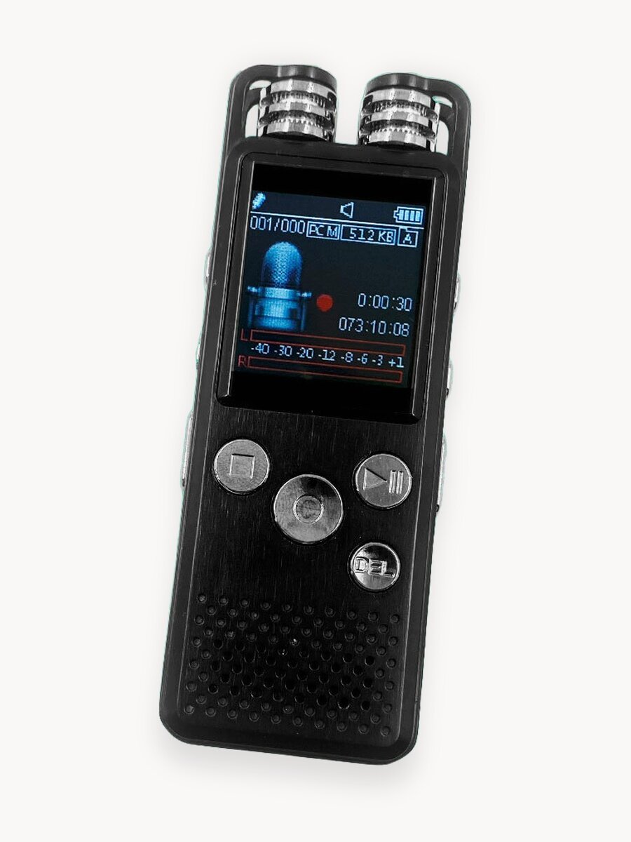 Профессиональный цифровой диктофон R69