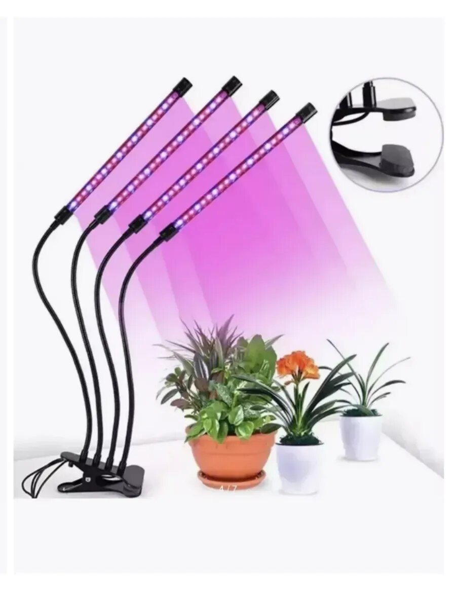 Фитолампа для растений