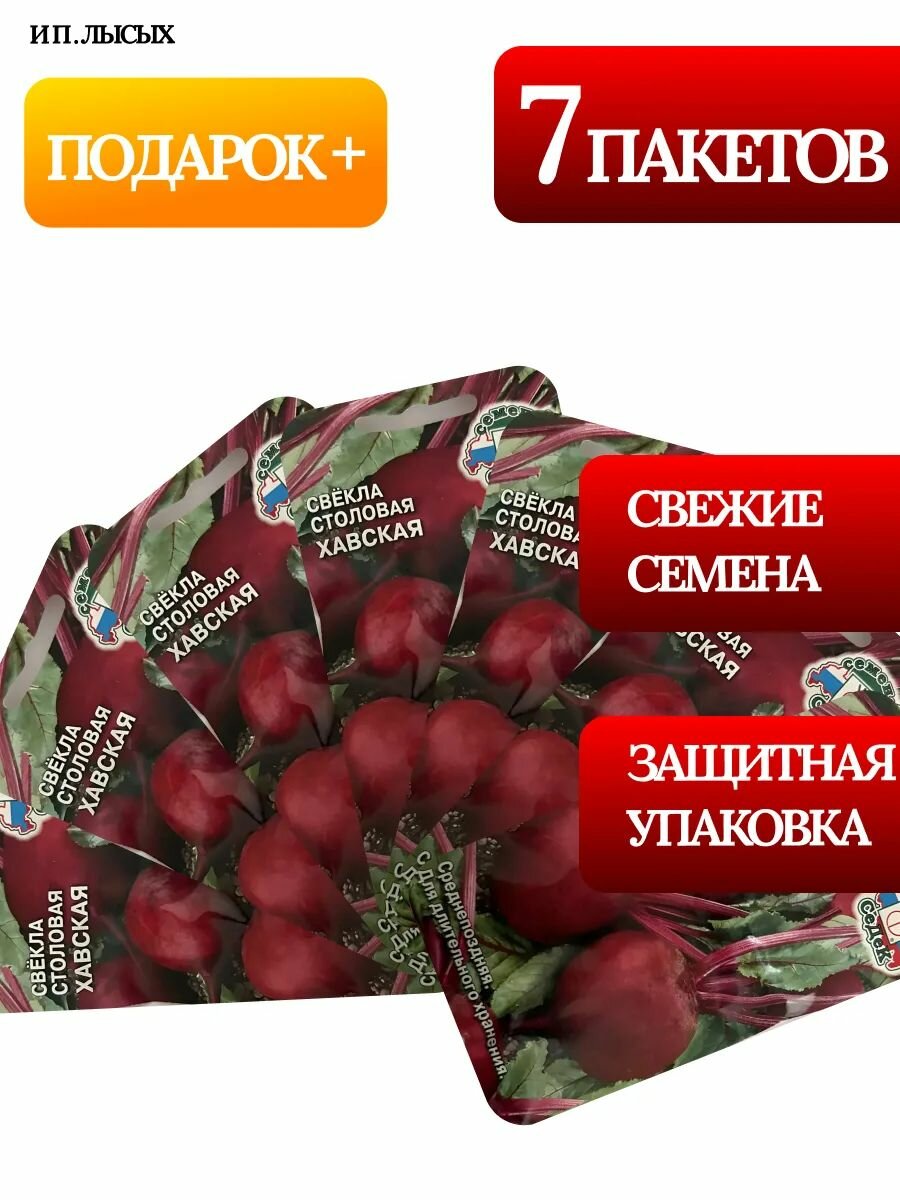 Семена Свекла "Хавская"