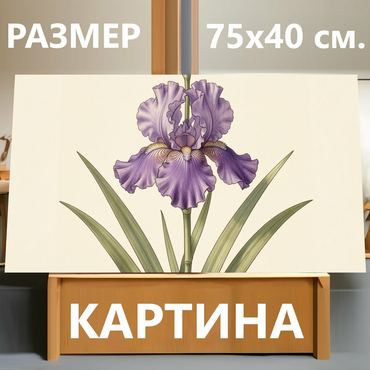 Картина на холсте "Фиолетовый ирис на светлом фоне. Изящное ботаническое изображение с распустившимся ирисом и длинными листьями, выполненное в." на подрамнике 75х40 см. для интерьера