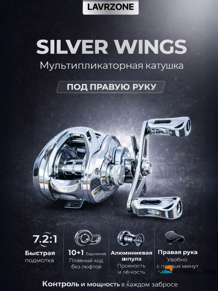 FN200-2 Катушка для рыбалки мультипликаторная Silver Wings, для летней рыбалки под правую руку, 10+1 подшипник, катушка для спиннинга