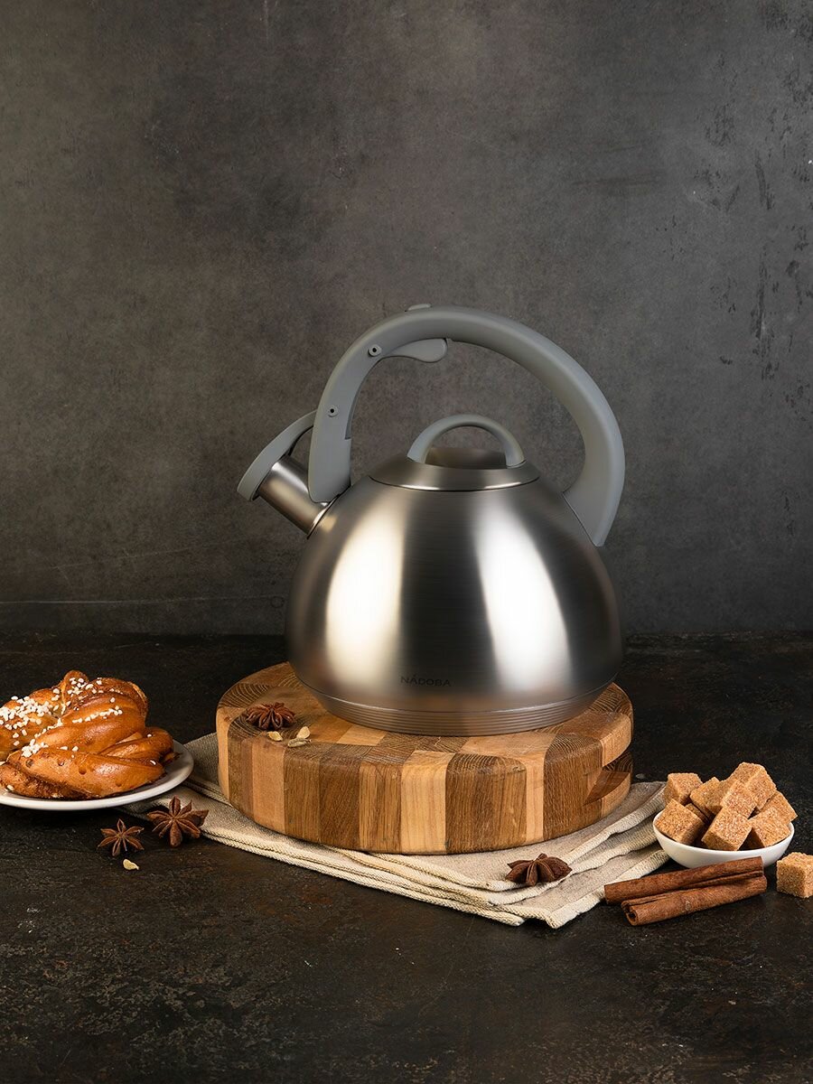 Чайник со свистком для газовой и индукционной плиты из нержавеющей стали 2,7 л, NADOBA