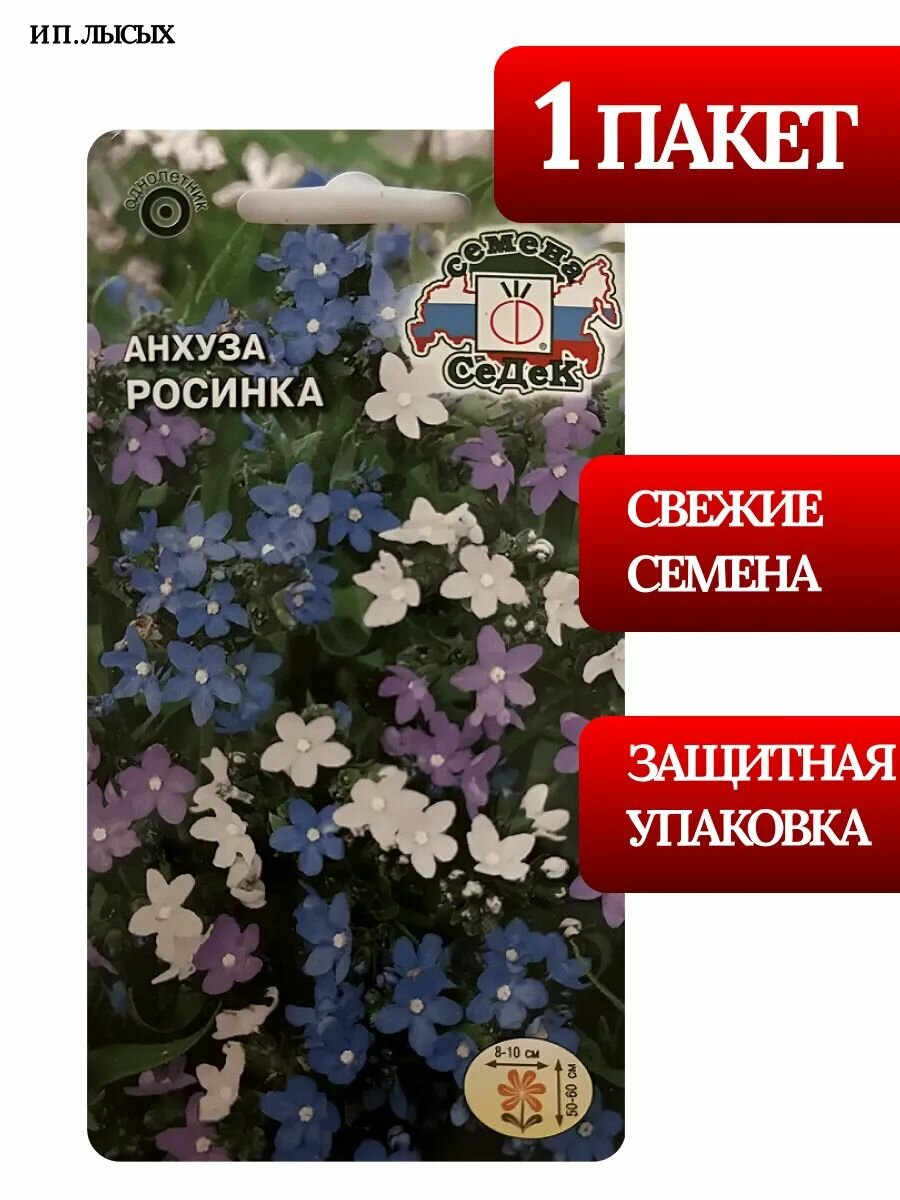 Семена Анхуза "Росинка"
