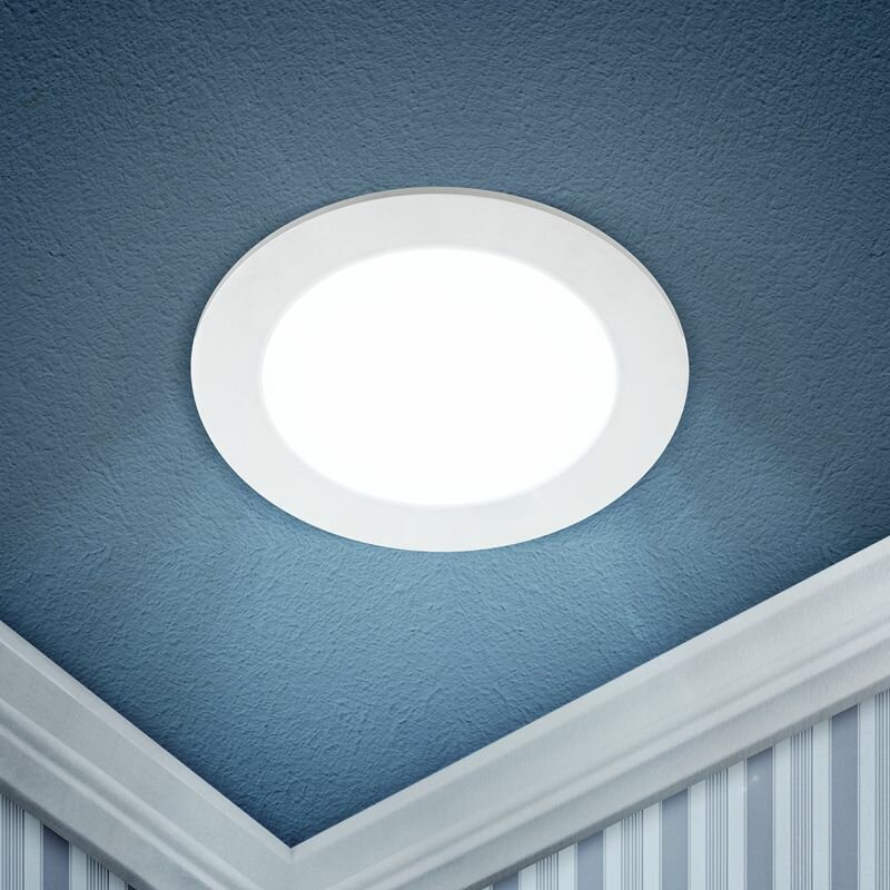 Панель светодиодная круглая RLP 18Вт белая 6500К 980Лм 222/205мм IP20 LED 1-18-6K/1 ЭРА
