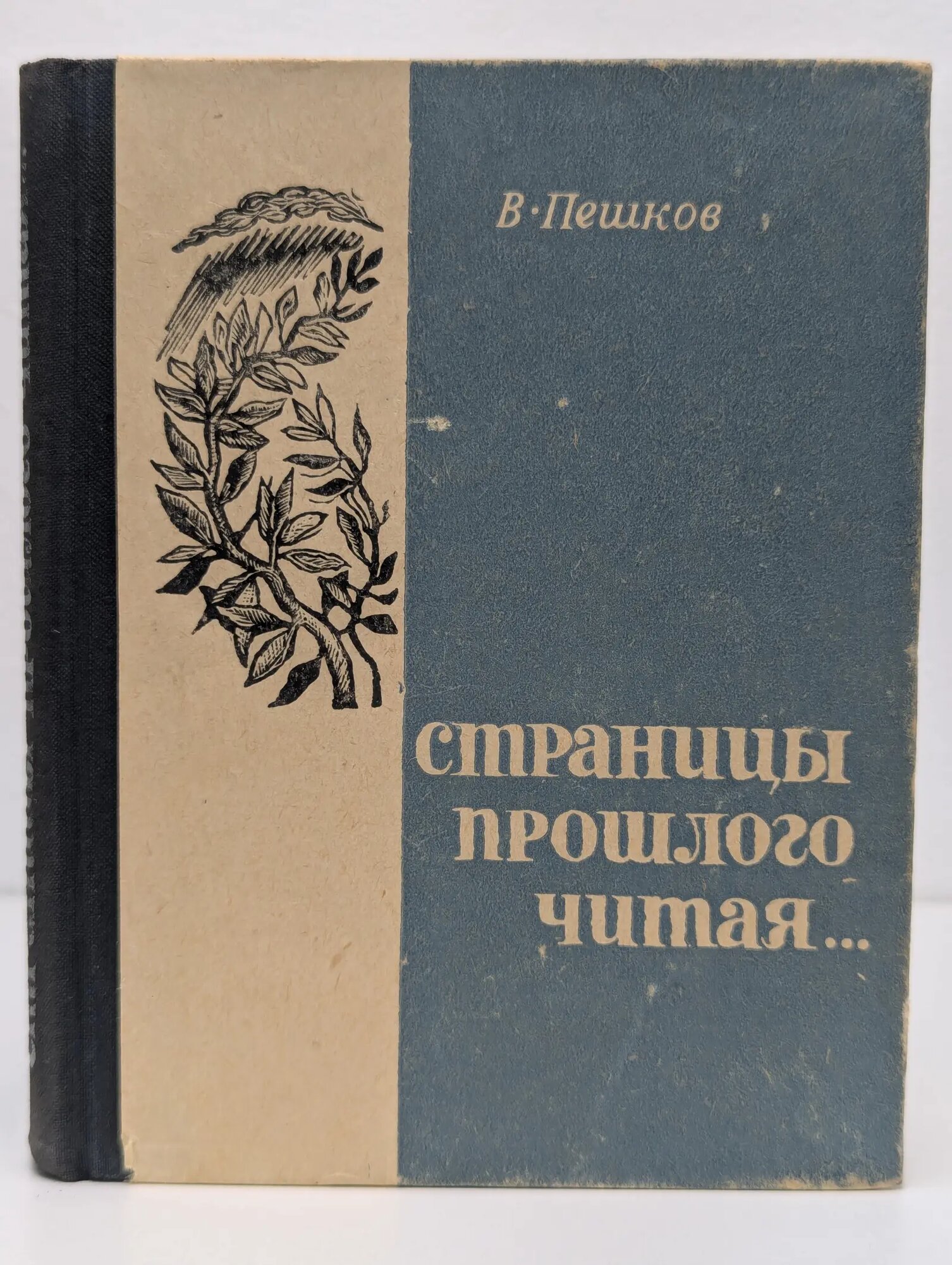 Страницы прошлого читая Пешков Владимир Павлович 1972