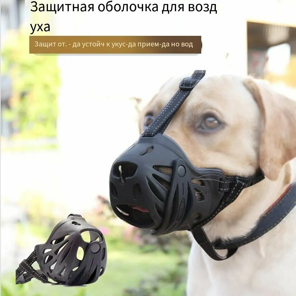 Намордник