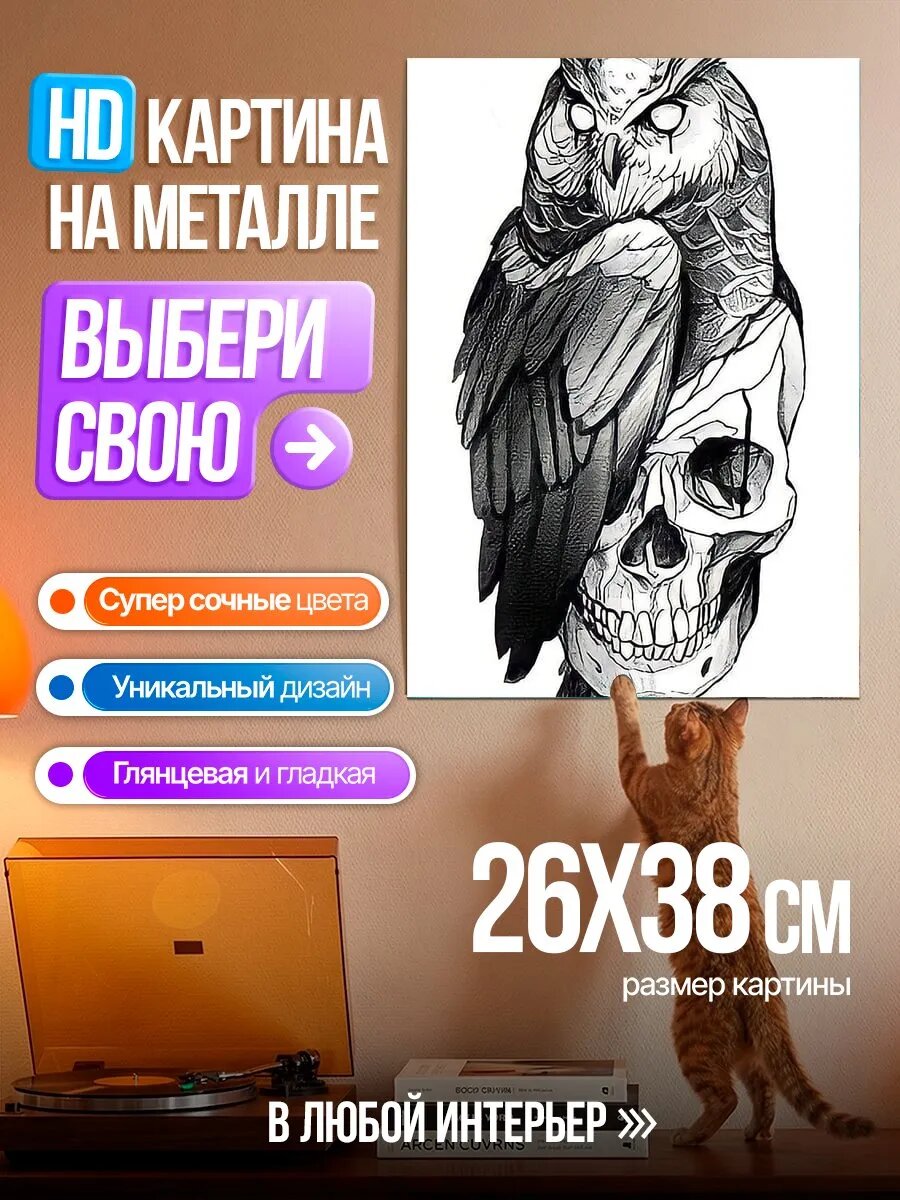 Картина на HD металле Сова на черепе