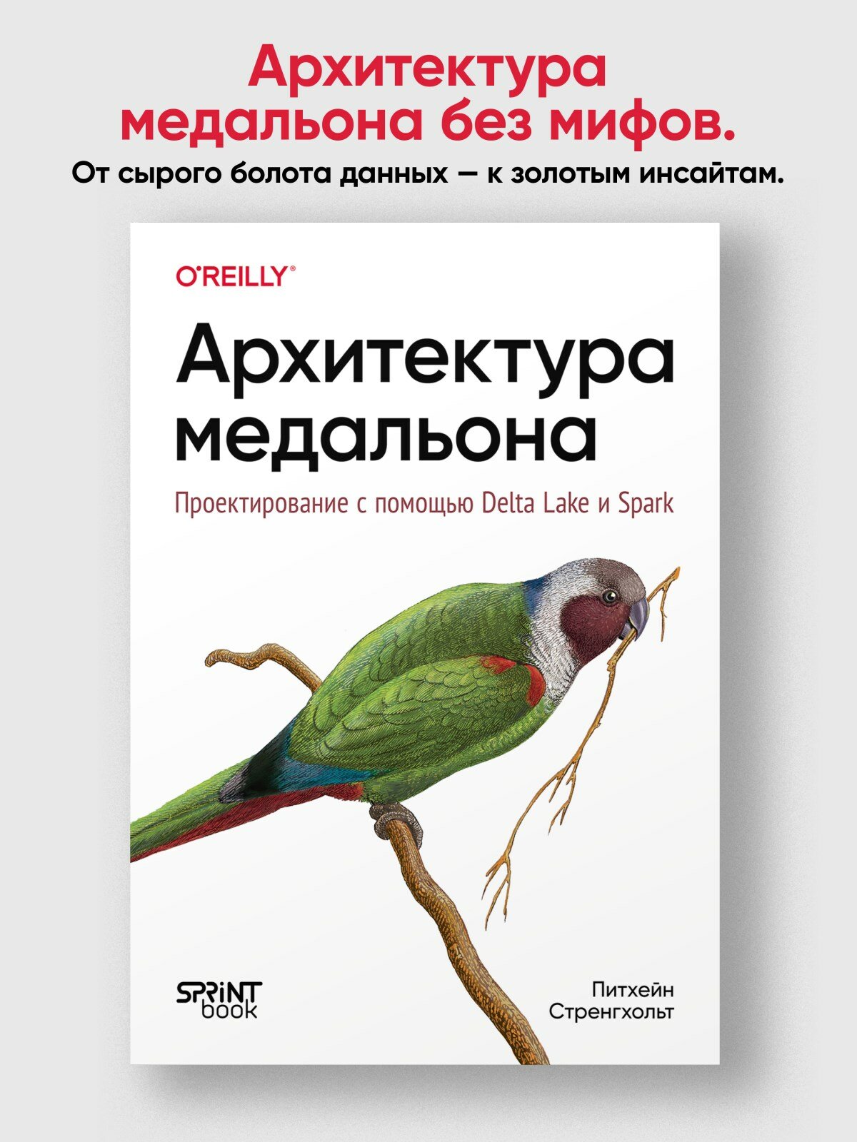 Архитектура медальона. Проектирование с помощью Delta Lake и Spark. Книга для дата-инженеров, книга о базах данных