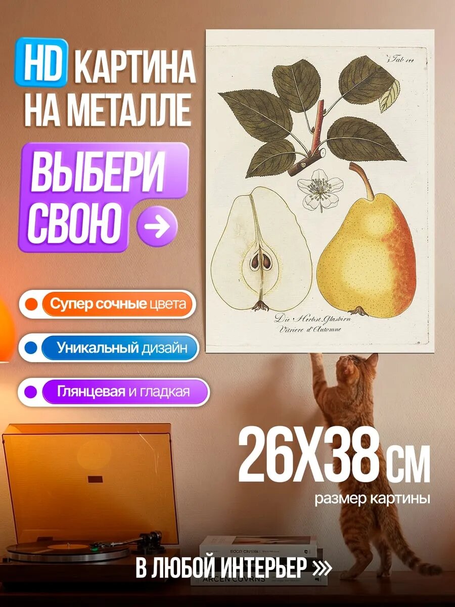 Картина на HD металле Груша сорт конференц