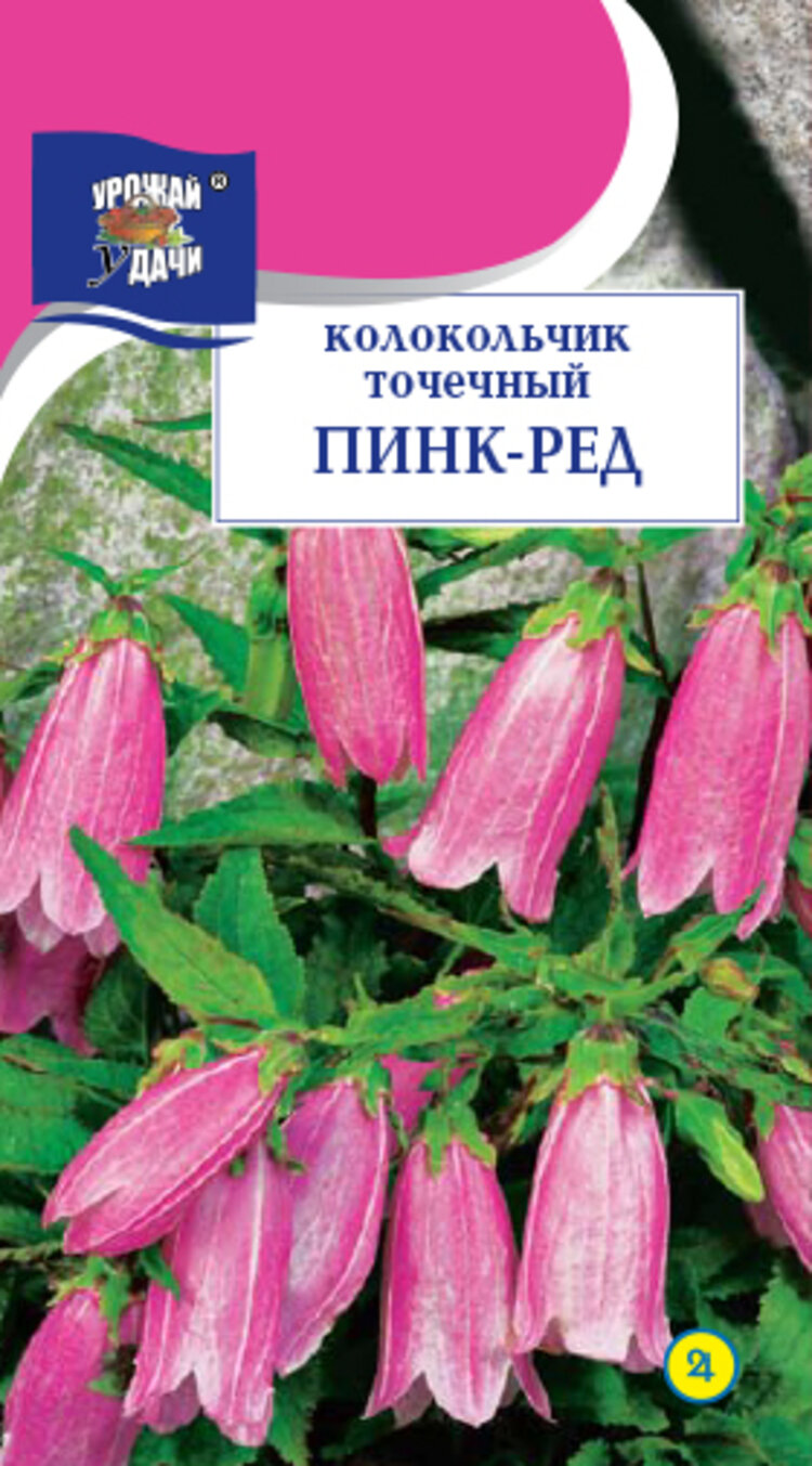 Семена Колокольчик Точечный Пинк Ред (0,015 г), многолетник, Урожай Удачи
