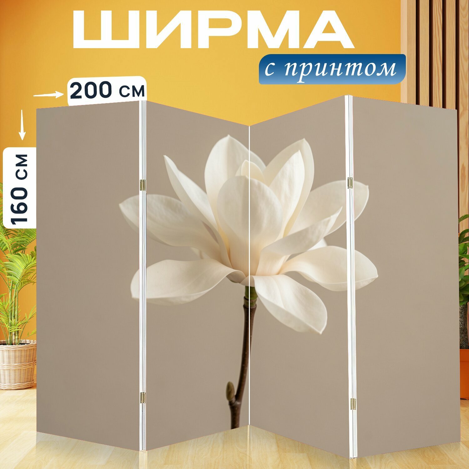 Ширма "Белая магнолия на ветке. Нежный крупный бутон в минималистичном ботаническом стиле на светлом бежевом." перегородка для зонирования комнаты с принтом 200x160 см. на холсте
