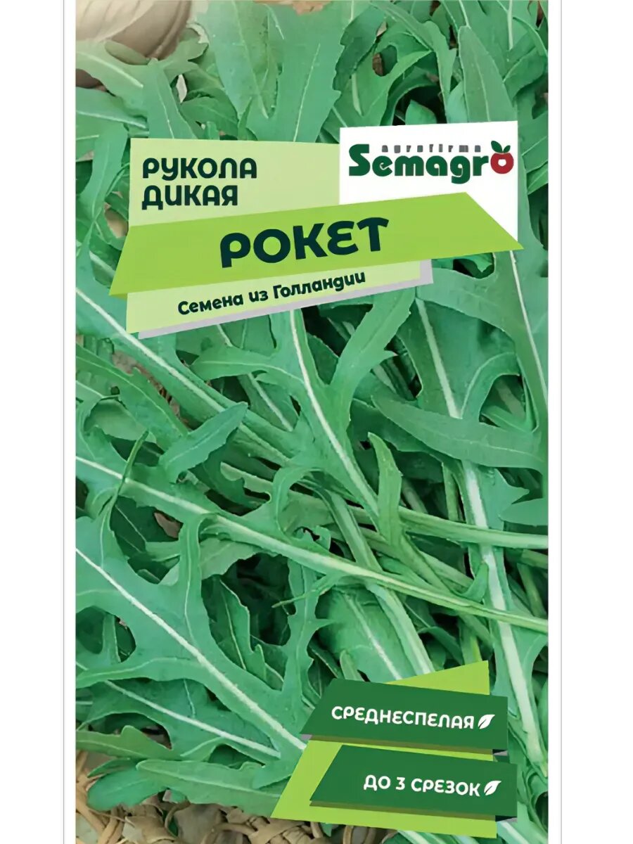 Семена рукола дикая Рокет