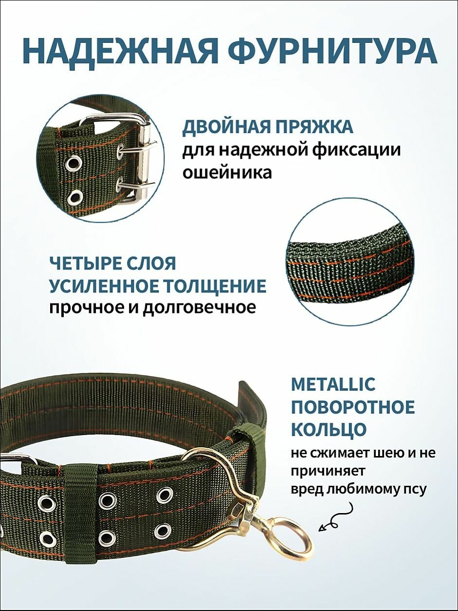 Ошейник строгий, нейлон, влагозащитный, темно-зеленый, 40-60 см — фото 1