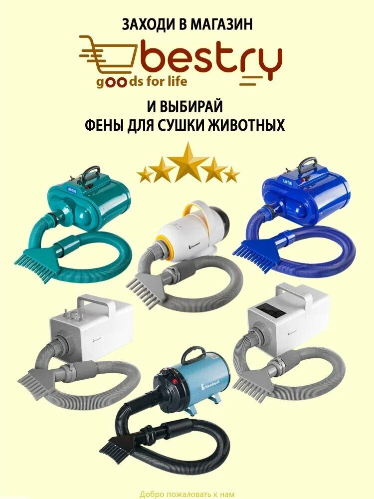 Лапомойка — фото 1
