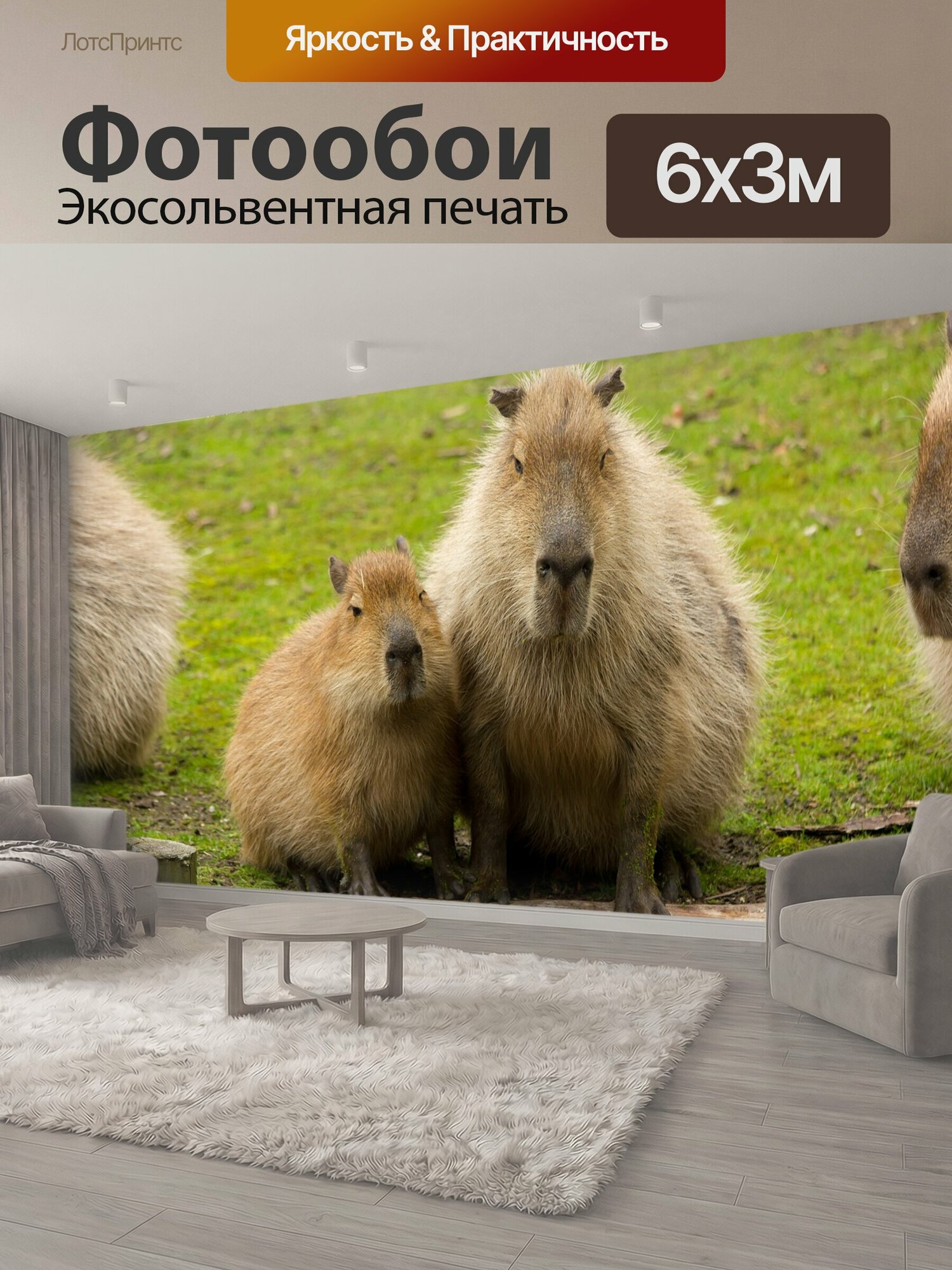 Фотообои "Капибара, животные, зоопарк" 600x300 см. экосольвентная печать