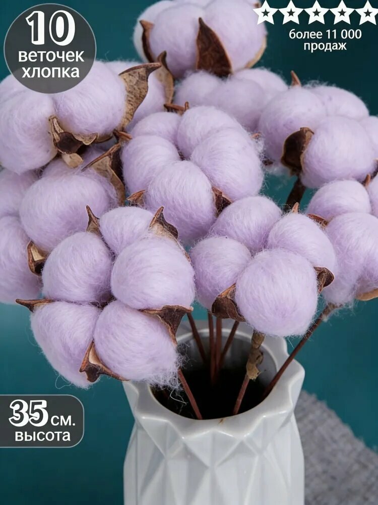 Сухоцветы Хлопок, 30 см, 300 гр, 20 шт