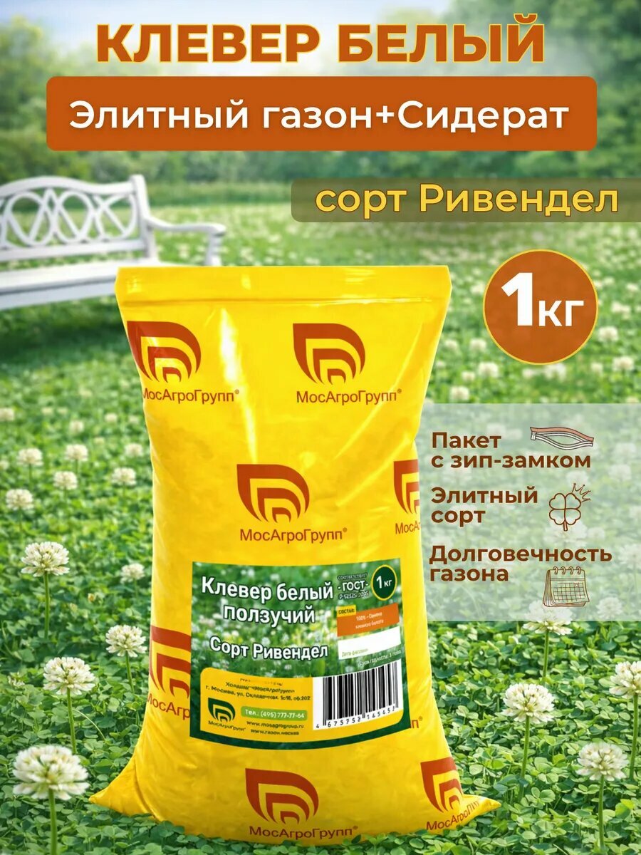 Семена белого клевера 1кг сорт Ривендел Мосагрогрупп для газона