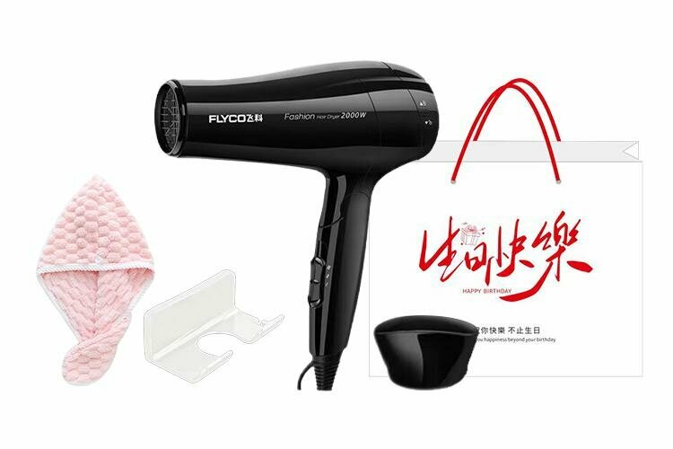 Фен унисекс FLYCO Fashion Hair Dryer 2000W FH6231 Birthday Outfit