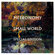 METRONOMY Small World (LP)