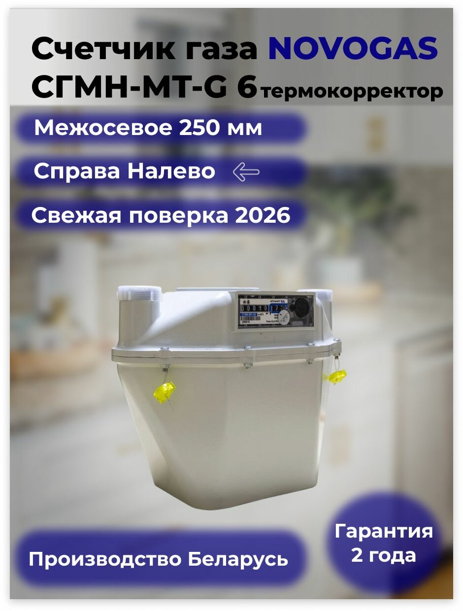 Счетчик газа NOVOGAS СГМН-МТ-G 6 межосевое 250 мм, правый, термокорр. 1 1/4" справа налево