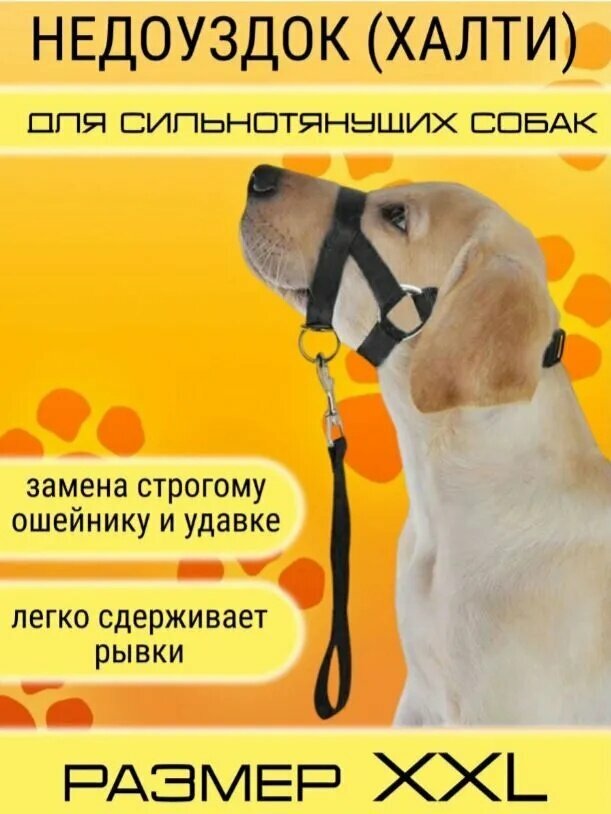 Недоуздок для собак крупных, средних, мелких пород / Намордник халти