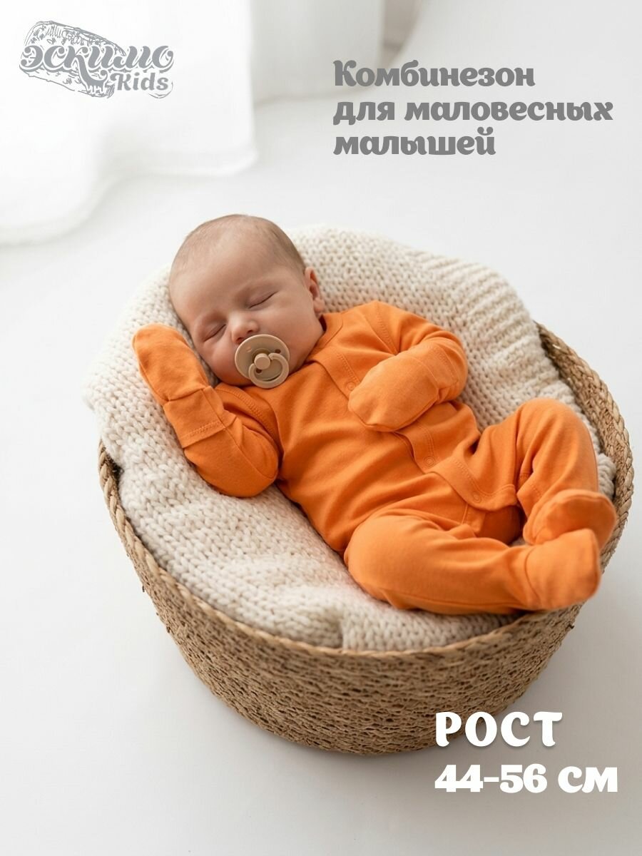 Комбинезон Базовая коллекция