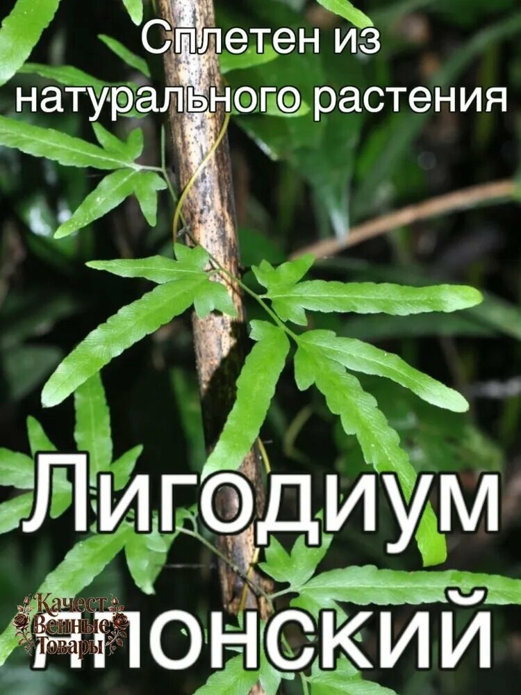Фигурка садовая — фото 1