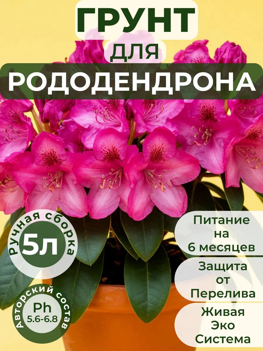 Готовый авторский грунт для Рододендрона премиум 5л