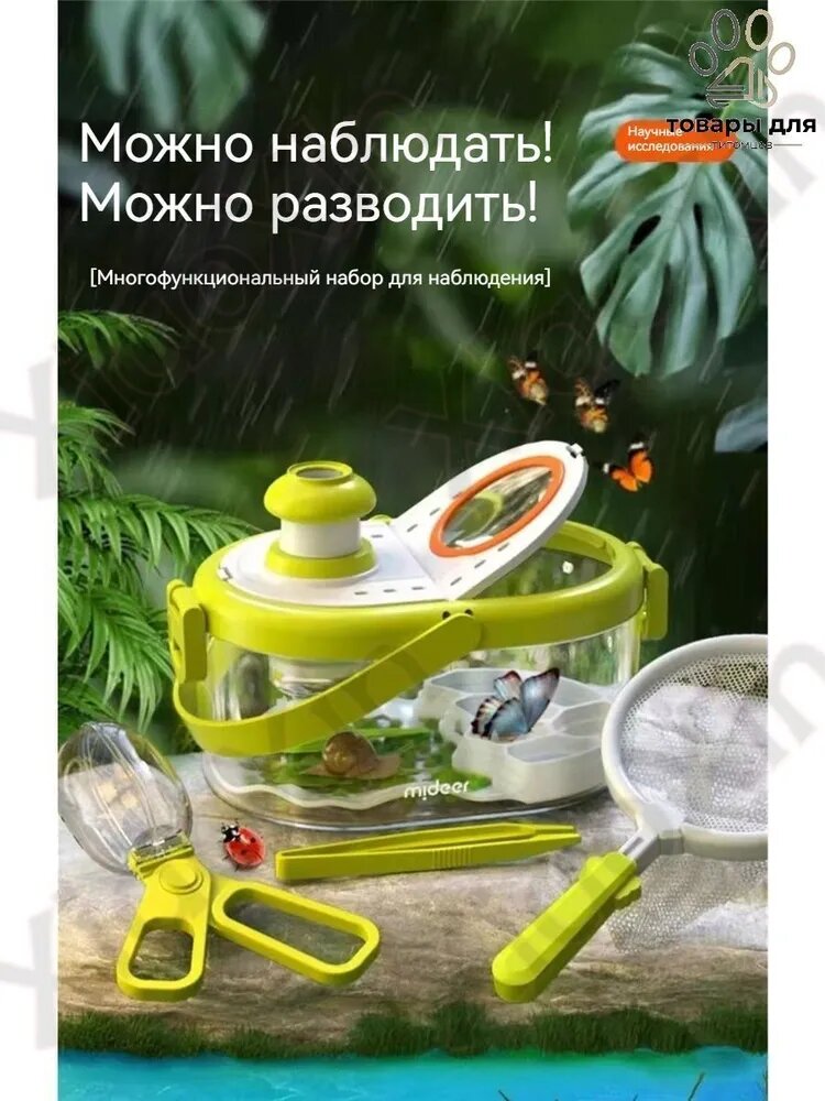 Ферма бабочек детский набор для научных экспериментов Mideer наблюдение насекомых таксидермия