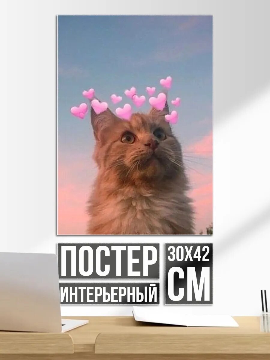 Плакат постер Кот с сердечками