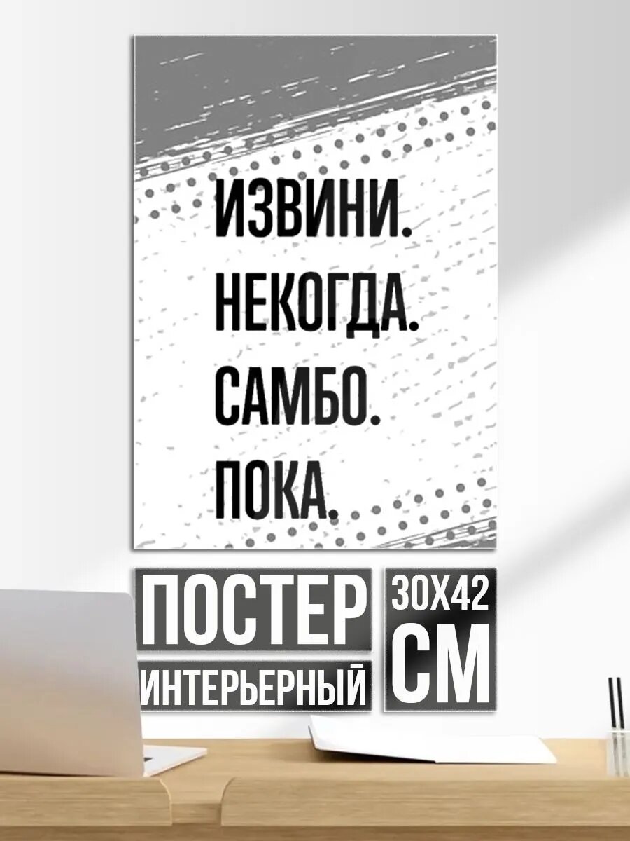 Постер на стену Извини некогда - самбо, пока