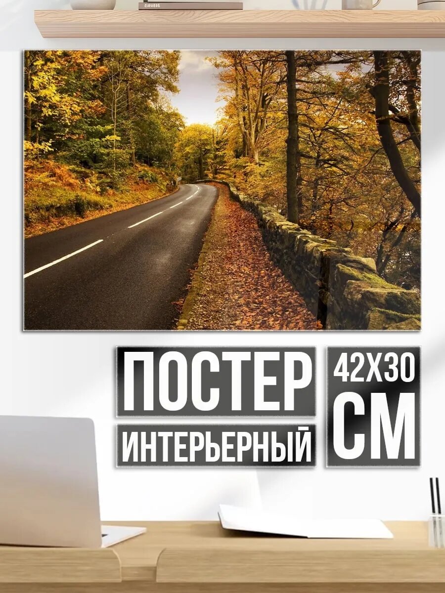 Плакат постер Осенняя дорога