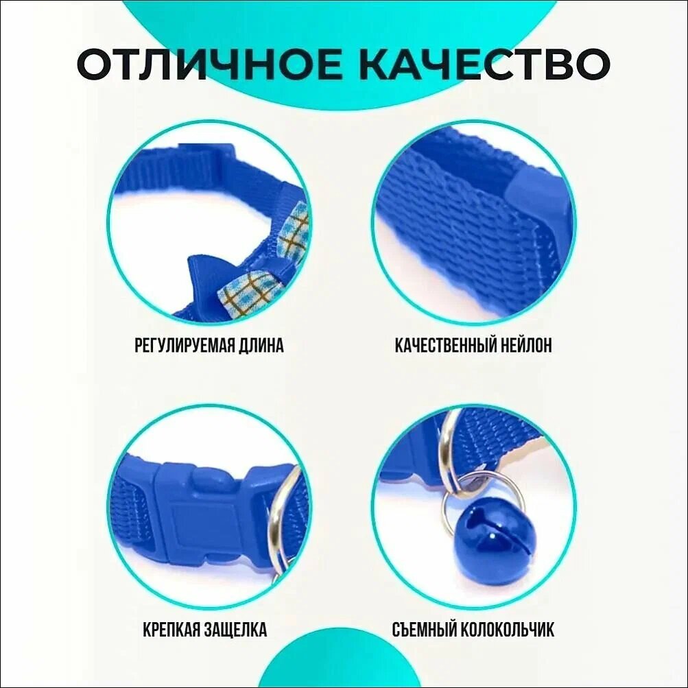 Ошейник для кошек и собак мелких пород, с колокольчиком и бантом, цвет синий — фото 1