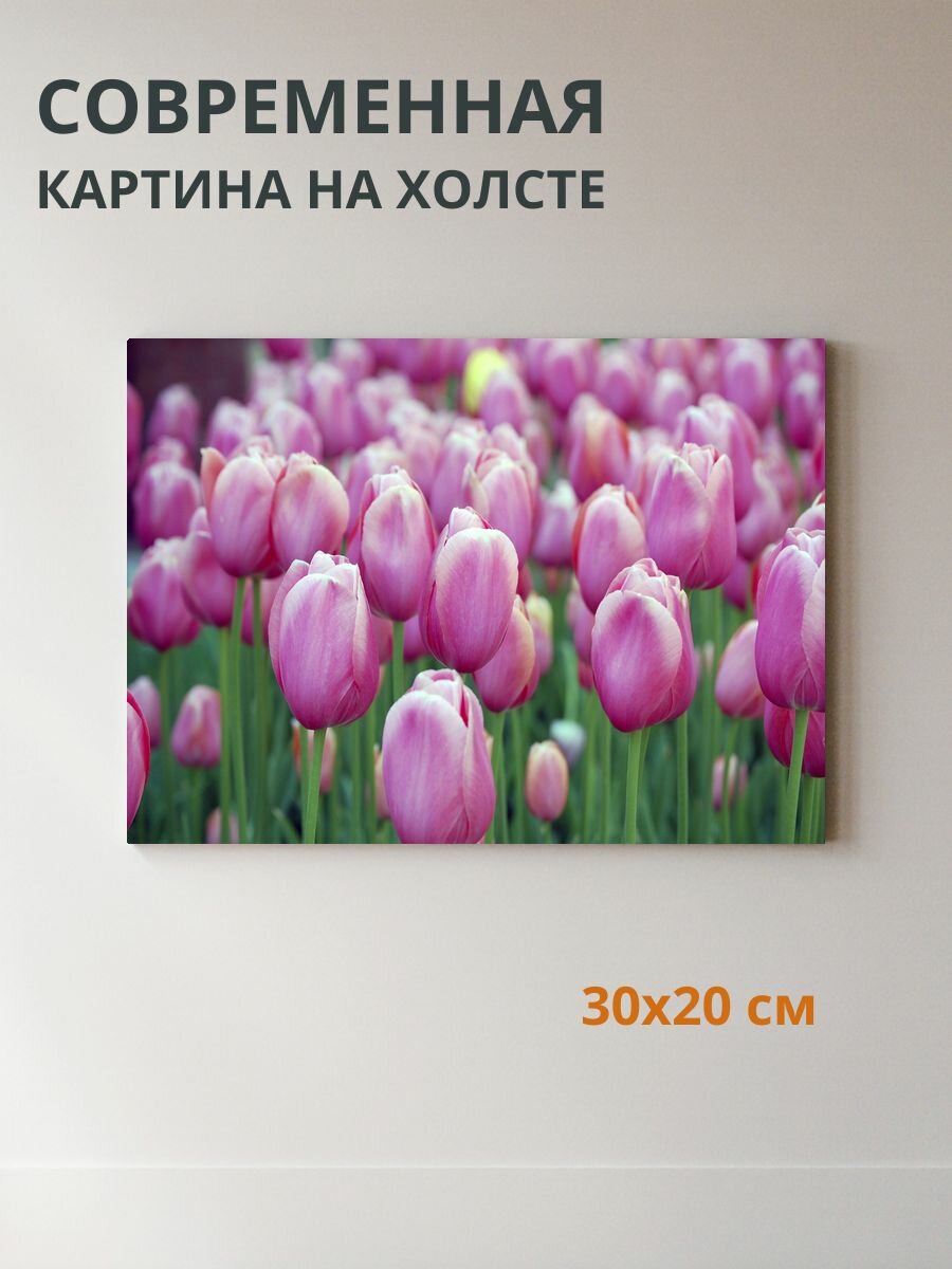 Картина на холсте Тюльпаны 30x20 см