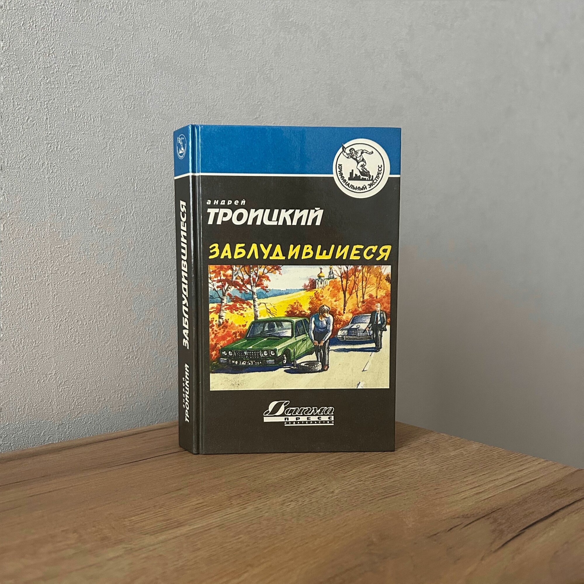 Троицкий Андрей Борисович / Заблудившиеся, 1994