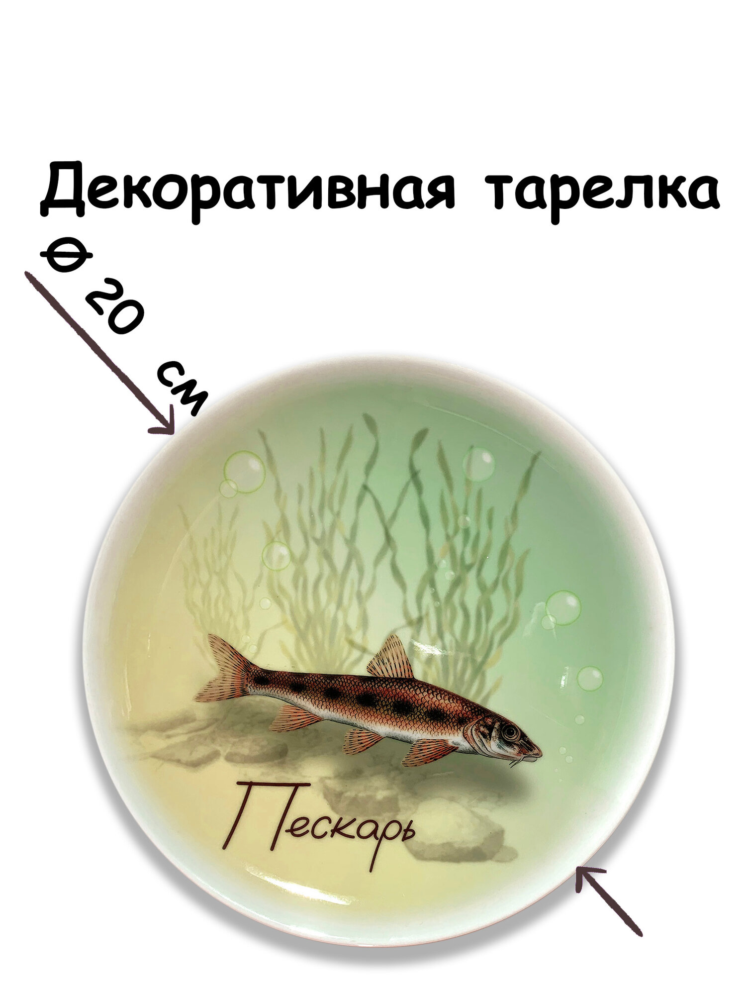 Декоративная тарелка с изображением пескаря исп.3т