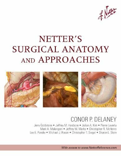 Netter's Surgical Anatomy and Approaches Reprinted books