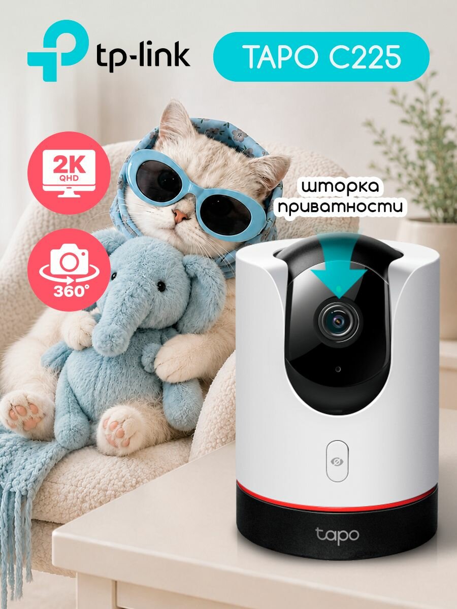 IP-камера Беспроводная IP камера TP-LINK TAPO C225