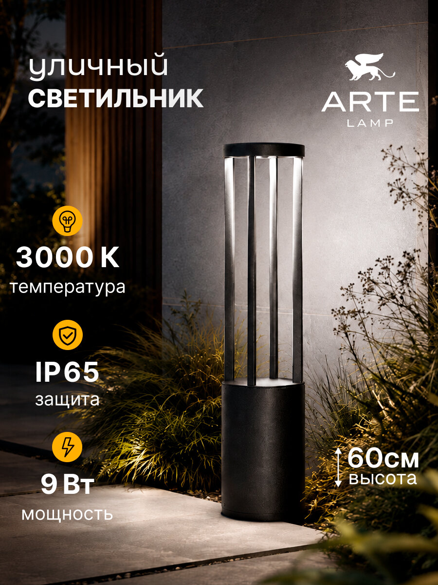 Ландшафтный светильник Arte Lamp CARCASSA A4666PA-1BK LED 9Вт черный